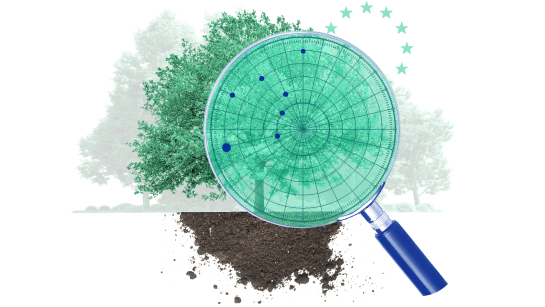Forest resilience and protection - Consilium